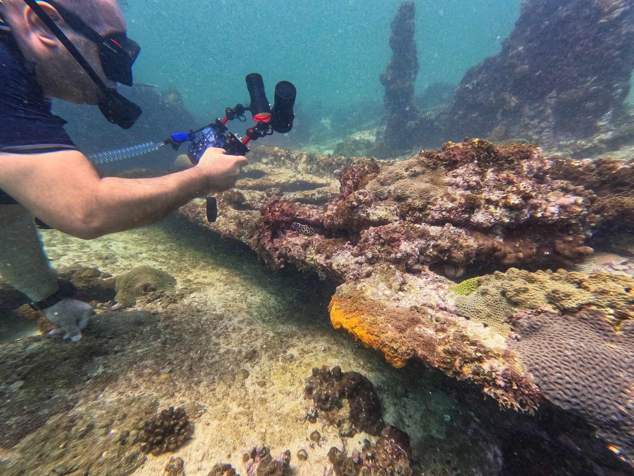 Oman’s Diving Showdown: Salalah vs. Muscat – Which Will Win You Over ...